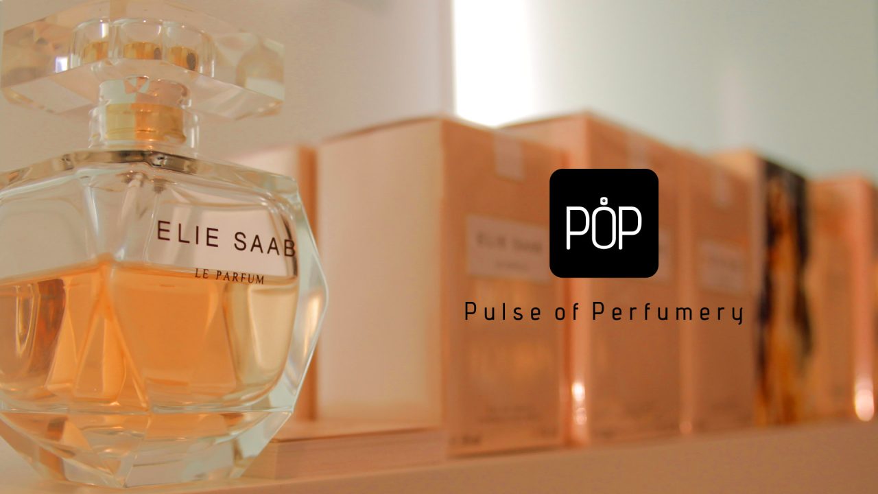 Pulse of Perfumery : Brand Identity | Mark - creative director | director